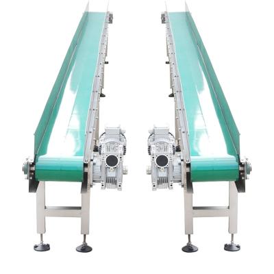 China Horizontal Stainless Steel Fruit Conveyor Belt Energy Saving Type for sale