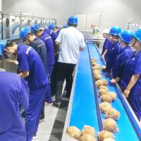 China Horizontal Stainless Steel Fruit Conveyor Belt Energy Saving Type for sale