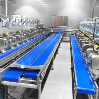 China Horizontal Stainless Steel Fruit Conveyor Belt Energy Saving Type for sale
