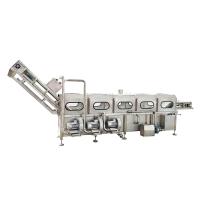 China Automatic Industrial Bubble Washing Machine for Fruits Vegetables 220V 2-20T/H for sale