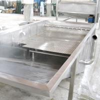 China Automatic Industrial Bubble Washing Machine for Fruits Vegetables 220V 2-20T/H for sale