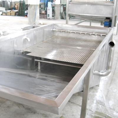 China Automatic Industrial Bubble Washing Machine for Fruits Vegetables 220V 2-20T/H for sale