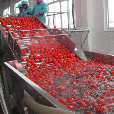 China Air Bubble Tomato Washing Machine 2-20 T/H SUS304 Stainless Steel Fruit Vegetable Cleaner for sale
