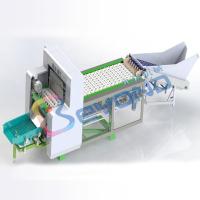 China Automatic Mango Washing Waxing Grading Machine 500-10000L/H CE ISO for sale