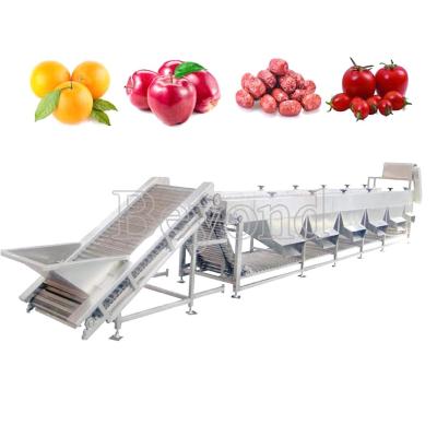 China Automatic Mango Washing Waxing Grading Machine 500-10000L/H CE ISO for sale