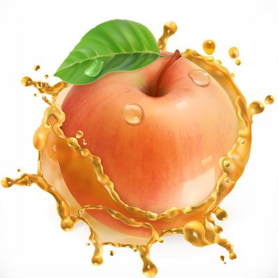 China SUS304 Automatic Apple Juice Extractor Machine 500kg per Hour Industrial Pulping for sale
