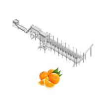 China Automatic Citrus Processing Machine 2-10T/H Fruit Juice Production Line CE ISO for sale