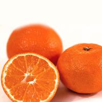 China Industrial Orange Juice Machine Concentrated Citrus Juicer 2-50T/H SUS304 for sale