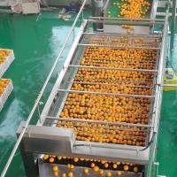 China Industrial Orange Juice Machine Concentrated Citrus Juicer 2-50T/H SUS304 for sale