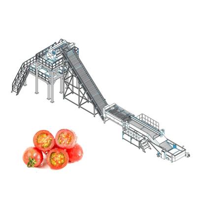 China ISO9001 Tomato Processing Line 2-50T/H for Concentrated Paste and Juice for sale