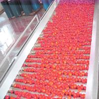 China SUS316 50Hz Tomato Paste Production Line Energy Saving Type for sale