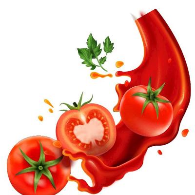China Aseptic Concentrated Tomato Sauce Machine With Large Bag for sale