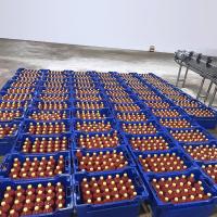 China Aseptic Concentrated Tomato Sauce Machine With Large Bag for sale