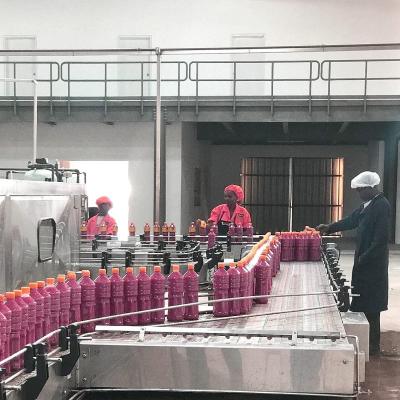 China SUS304 Automatic Tomato Processing Line 2-50T/H for Tomato Paste Making for sale
