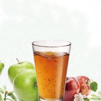 China Industrial Apple Juice Processing Line Fruit Juice Making Machine 5-50T/H for sale