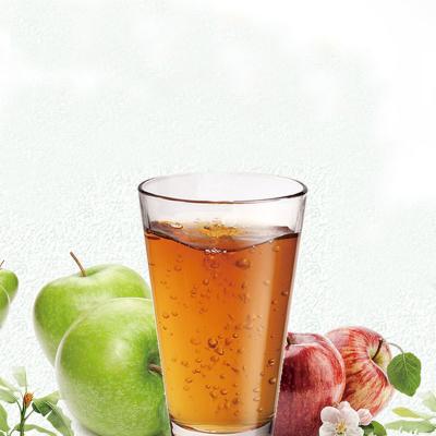 China Industrial Apple Juice Processing Line Fruit Juice Making Machine 5-50T/H for sale