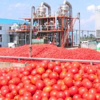China Film Deposition Multiple Effect Evaporator For Food Industry Processing for sale
