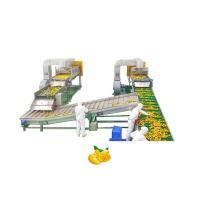China Industrial Automatic Mango Jam Making Machine 5-50T/H Capacity Fruit Processing Line for sale