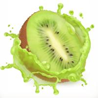 China Automatic Industrial Kiwi Juice Making Machine Fruit Juice Production Equipment 380V for sale