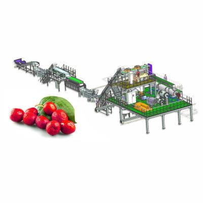 China Automatic Date Juice Processing Line 2-50T/H 380V Industrial Fruit Syrup Making Machine for sale