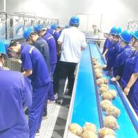 China Industrial Coconut Juice Extractor Machine 500kg/h to 20t/h Dairy Processing Line for sale