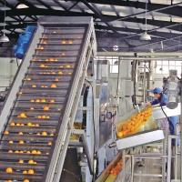 China SUS316 Industrial Citrus Juice Processing Line 2-10T/H Automatic Jam Making Machine for sale
