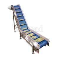 China Industrial Fruit Processing Automatic Washing Conveyor 0.1-0.4m/s Adjustable Speed for sale