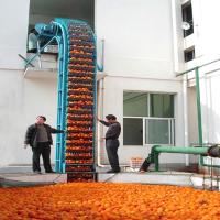 China Industrial Fruit Processing Automatic Washing Conveyor 0.1-0.4m/s Adjustable Speed for sale