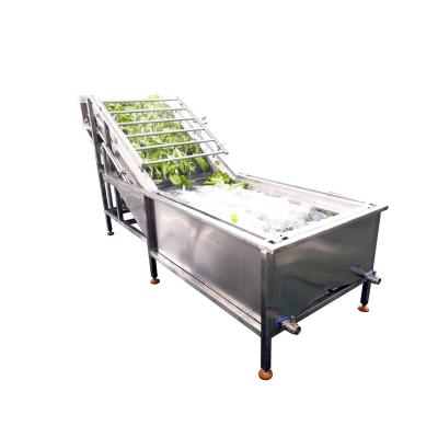 China Industrial Automatic Fruit Washer Machine 220V 304 Stainless Steel 2-20 T/H Capacity for sale