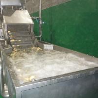 China Industrial Automatic Fruit Washer Machine 220V 304 Stainless Steel 2-20 T/H Capacity for sale