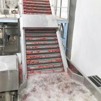 China Automatic Tomato Sauce Processing Machine Ketchup Production Line 2-50T/H Energy Saving for sale