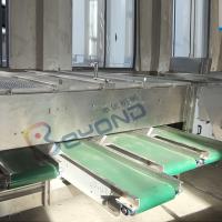 China Stainless Steel Fruit Processing Equipment Industrial Fruit Sorter Machine 380V for sale