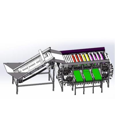 China Stainless Steel Fruit Processing Equipment Industrial Fruit Sorter Machine 380V for sale