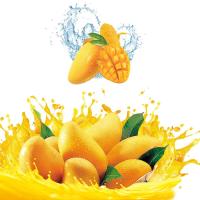 China SUS304 Automatic Mango Washing Machine Industrial Fruit Cleaning 1-40 T/H for sale