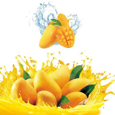 China SUS304 Automatic Mango Washing Machine Industrial Fruit Cleaning 1-40 T/H for sale