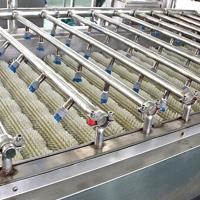 China SUS304 Automatic Mango Washing Machine Industrial Fruit Cleaning 1-40 T/H for sale
