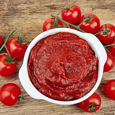China Industrial Automatic Tomato Processing Line 100-1000kg/h for Pizza Sauce Making for sale
