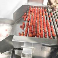 China Industrial Blueberry Washing Machine Automatic Fruit Processing Equipment 3000mm 1.1kw for sale