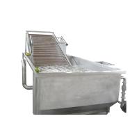 China 220V 304 Stainless Steel Bubble Tomato Washing Machine 2-20 T/H for Fruit Vegetable Processing for sale