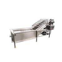 China 220V 304 Stainless Steel Bubble Tomato Washing Machine 2-20 T/H for Fruit Vegetable Processing for sale