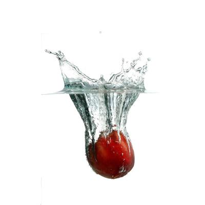 China 220V 304 Stainless Steel Bubble Tomato Washing Machine 2-20 T/H for Fruit Vegetable Processing for sale