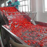 China 220V 304 Stainless Steel Bubble Tomato Washing Machine 2-20 T/H for Fruit Vegetable Processing for sale