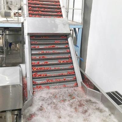 China 2-50T/H Tomato Paste Processing Line Automatic Ketchup Production Machine 380V 50Hz for sale