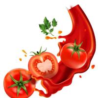 China 2-50T/H Tomato Paste Processing Line Automatic Ketchup Production Machine 380V 50Hz for sale