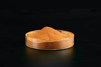 China Potassium lignosulfate Moisture Content≤10% Potassium 10-20 for Maximum Efficiency in Potassium Production for sale