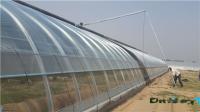 China Boost Winter Crop Growth Single Span Agricultural Greenhouses Height 3.5-5M for sale