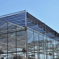 China Hot Galvanized Steel Frame Structure Venlo Glass Greenhouses for Vegetable Agriculture for sale