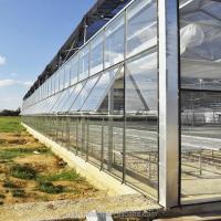 China Hot Galvanized Steel Frame Structure Venlo Glass Greenhouses for Vegetable Agriculture for sale