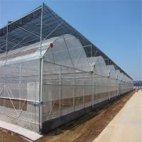 China 4.0-8.0M Height Agriculture Multi Span Plastic Film Greenhouse For Tomato Turnkey Project for sale