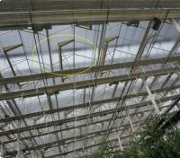 China Hot Galvanized Steel Frame Structure Venlo Glass Greenhouses for Vegetable Agriculture for sale